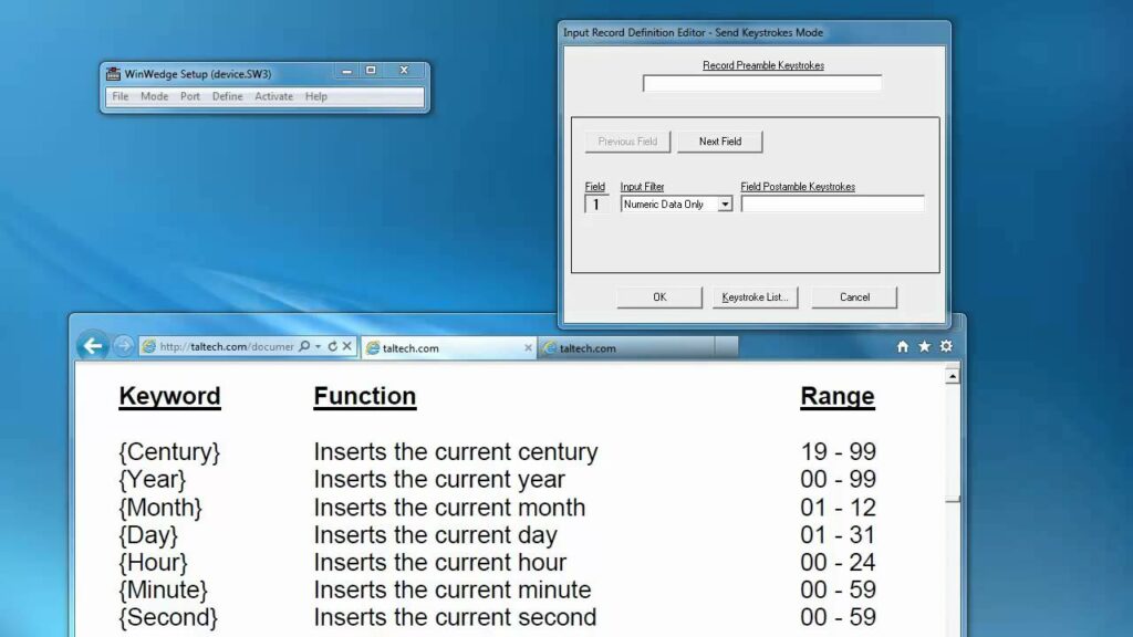 WinWedge Serial RS232/USB Scale/Device Data Collection Software